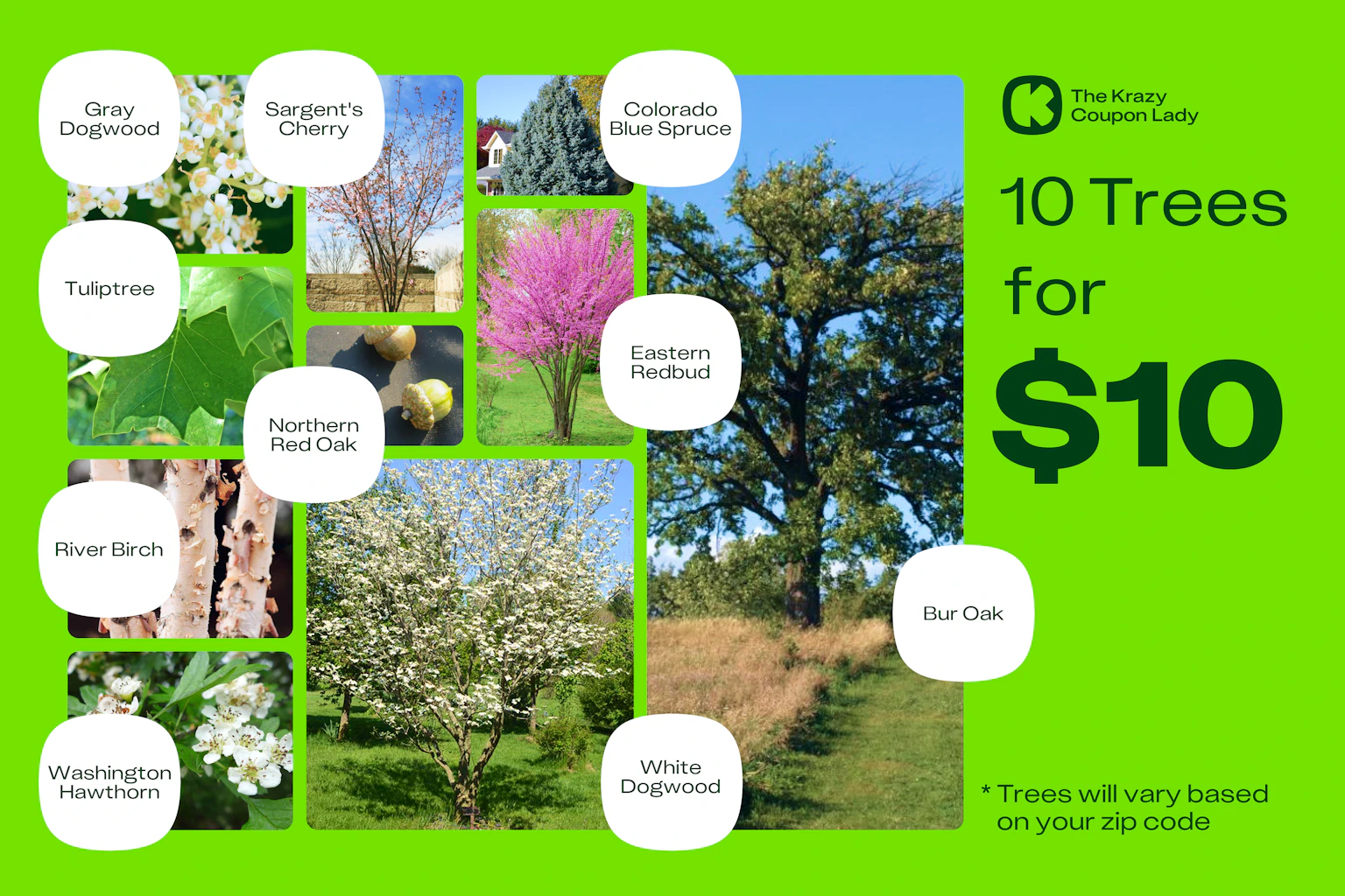 How to Get Free Trees in 2025 - The Krazy Coupon Lady