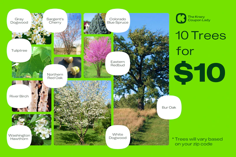 How to Get Free Trees in 2025 - The Krazy Coupon Lady