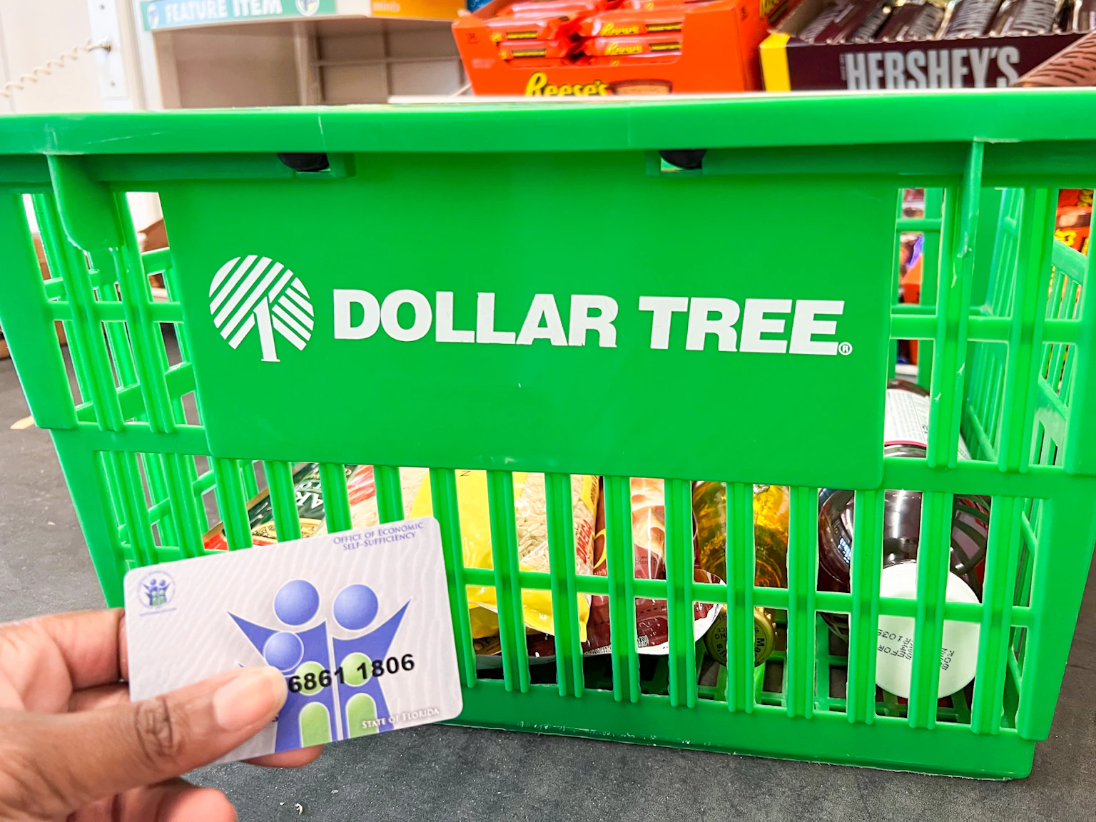 Does Dollar Tree Take EBT? Here's How To Use Your Benefits - The Krazy ...