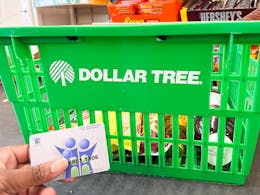 Does Dollar Tree Take EBT In 2022 Here s How To Use Your Benefits 