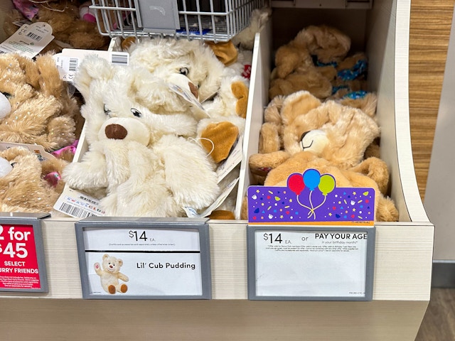 Build-a-Bear Pay Your Age: Here's How It Works - The Krazy Coupon Lady