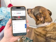 6 Tips For Finding A PetSmart Grooming Coupon And Current Offers 6 Tips For Finding A PetSmart Grooming Coupon And Current Offers