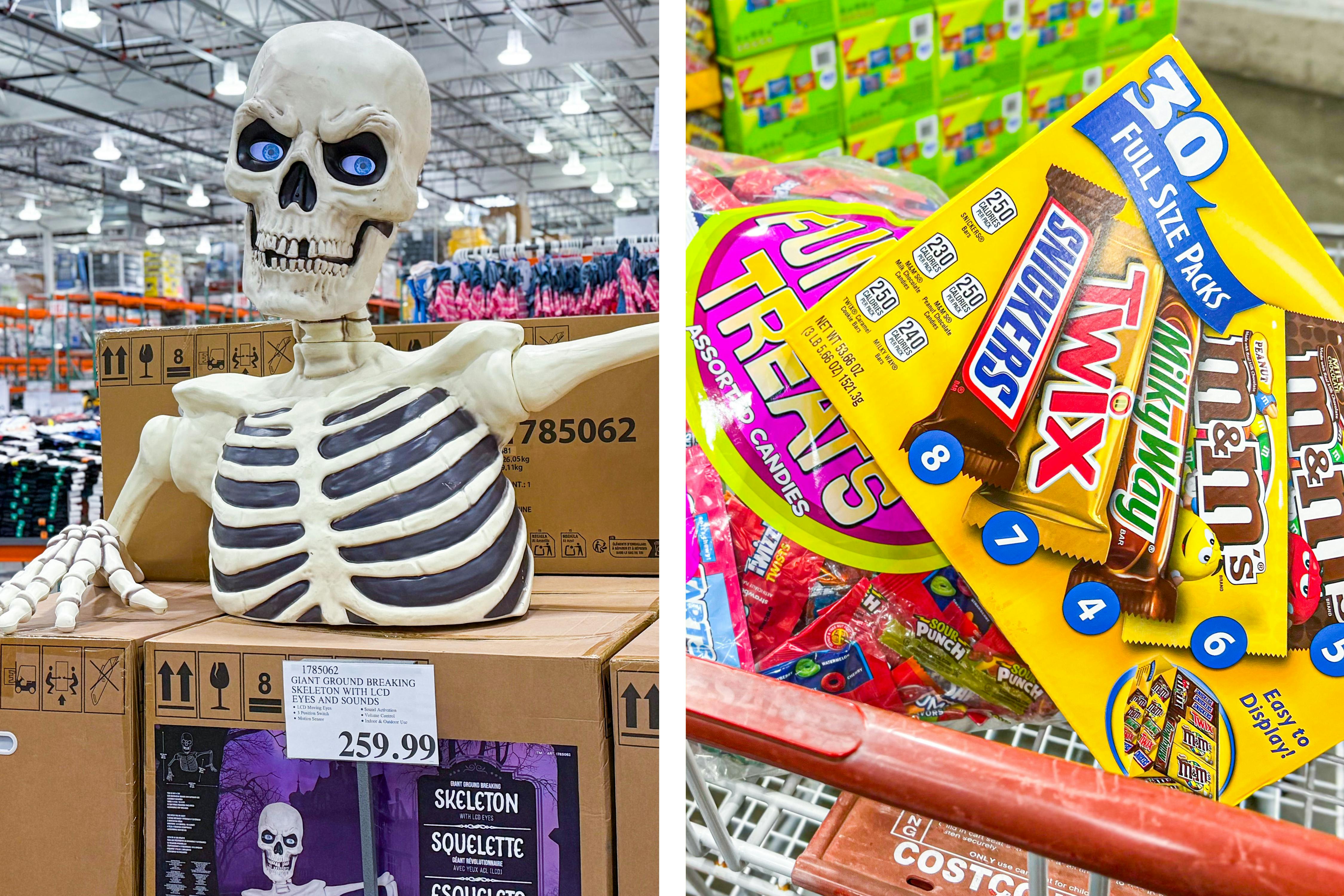 Costco Halloween Deals 2025: In-Store vs Online Prices - The Krazy ...