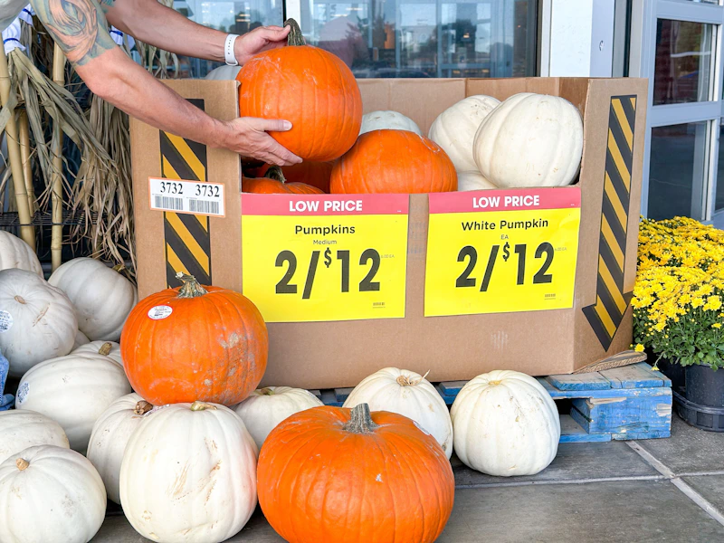 Pumpkin Price Comparisons 2024: Where to Find The Best Deals - The ...