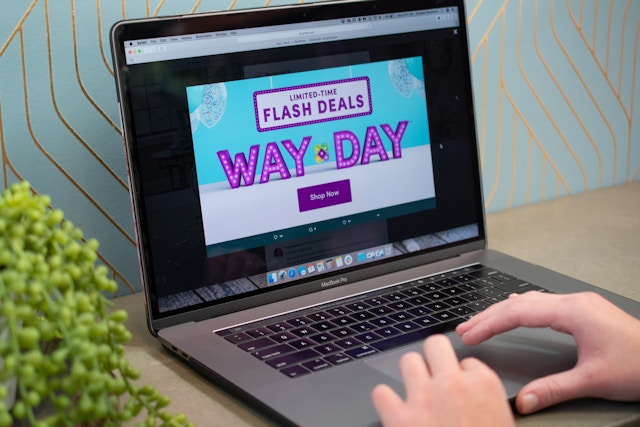 Wayfair Open Box: 11 Things to Know Before You Shop - The Krazy Coupon Lady