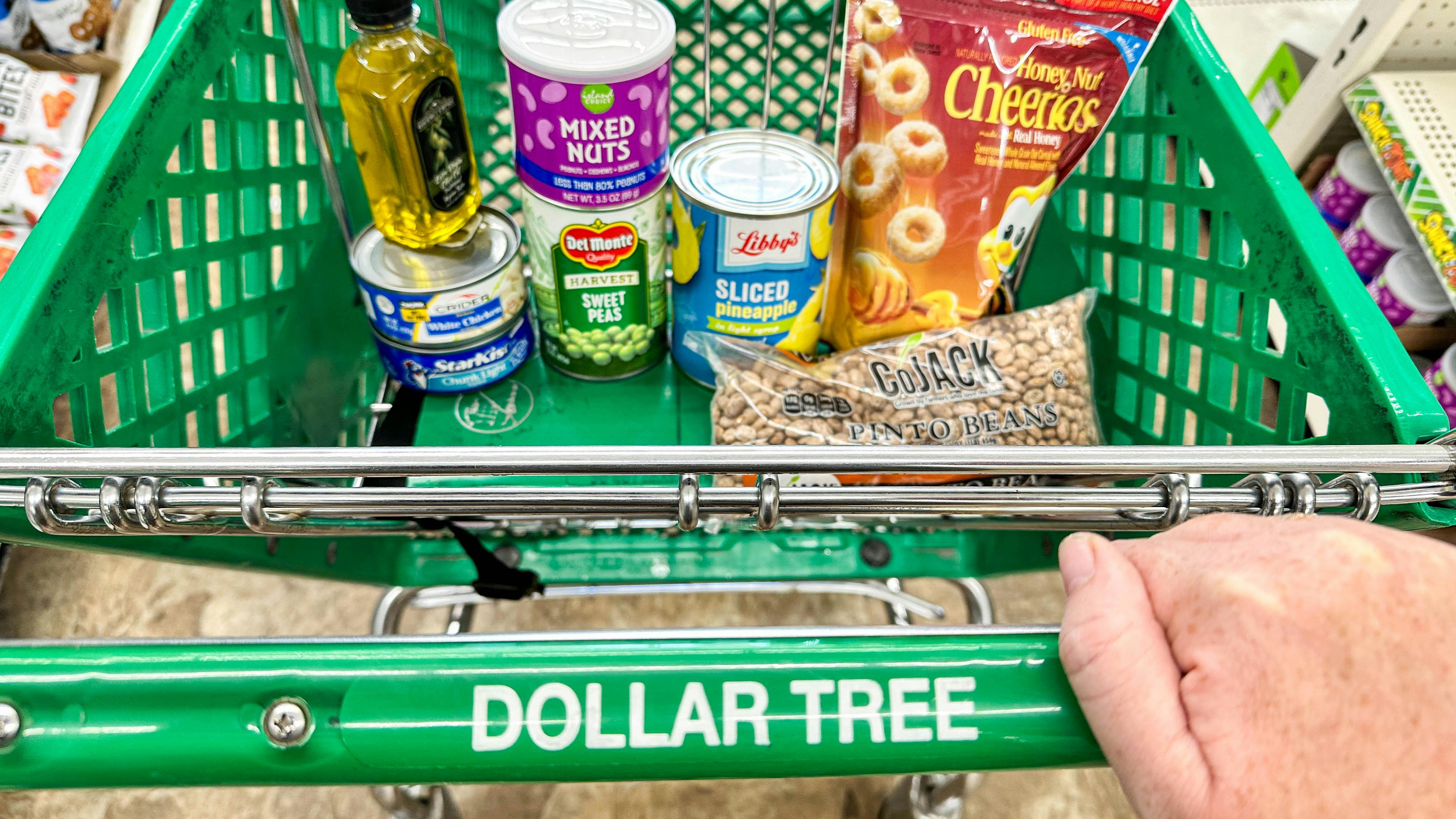Healthy Dollar Store Food: What Is (and Isn't) a Good Deal - The Krazy ...
