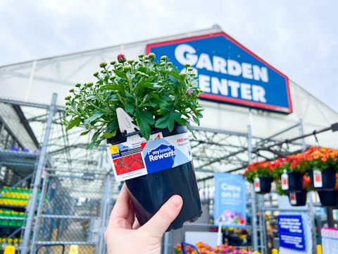 Lowe's Fall Flower Giveaway 2025: What to Expect - The Krazy Coupon Lady