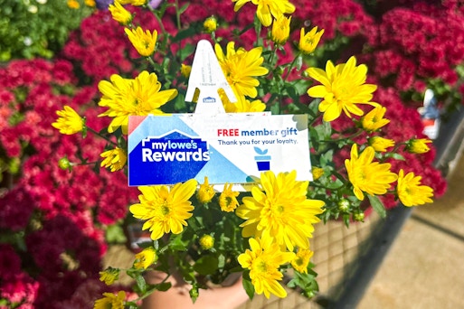 Lowe's Fall Flower Giveaway 2025: What to Expect - The Krazy Coupon Lady