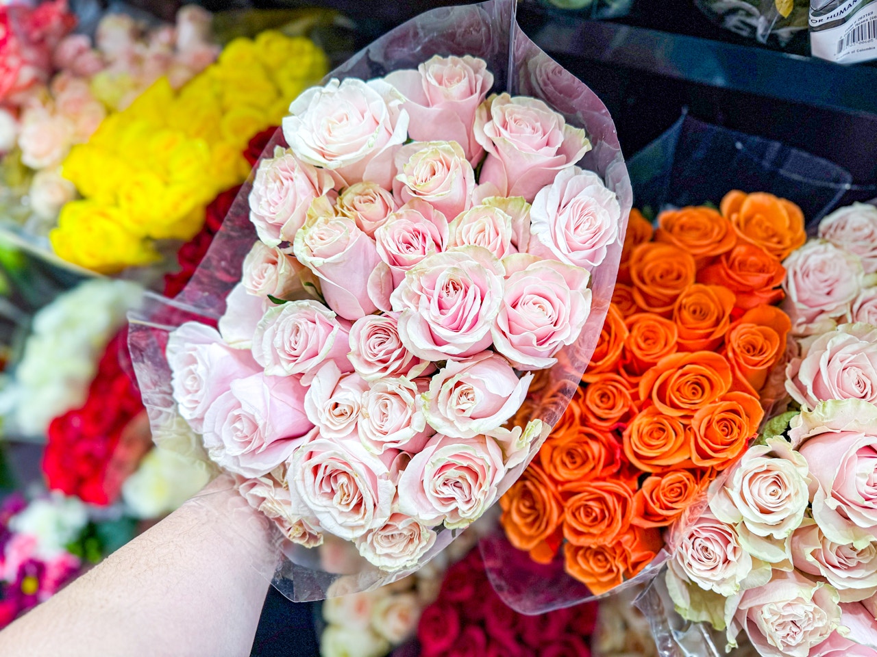 Where to Buy Cheap Valentine's Day Roses in 2025 — Krazy Coupon Lady ...