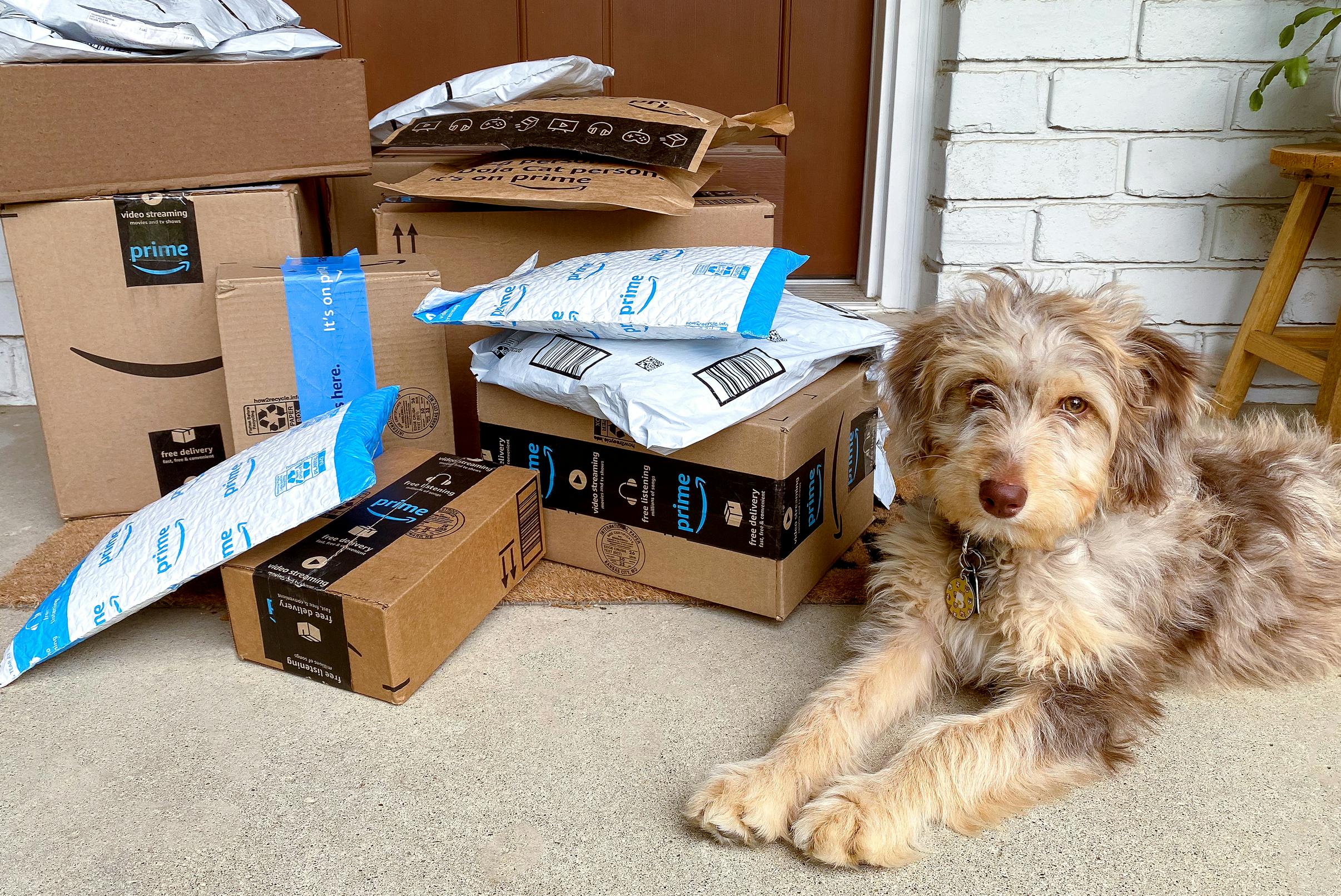 Amazon Pet Deals Live Now: Save on Treats, Litter, and More - The Krazy ...