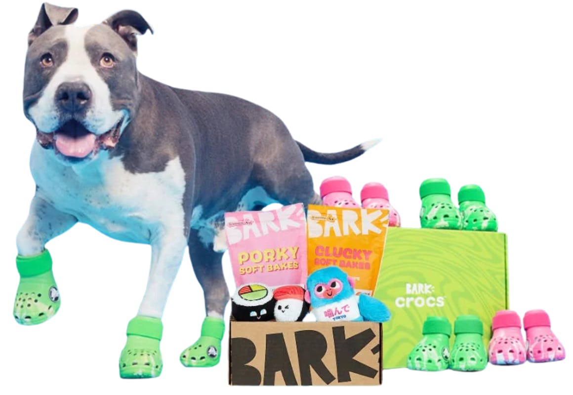 Get Free Dog Crocs with Your First BarkBox – Toys & Treats for Just $27 ...