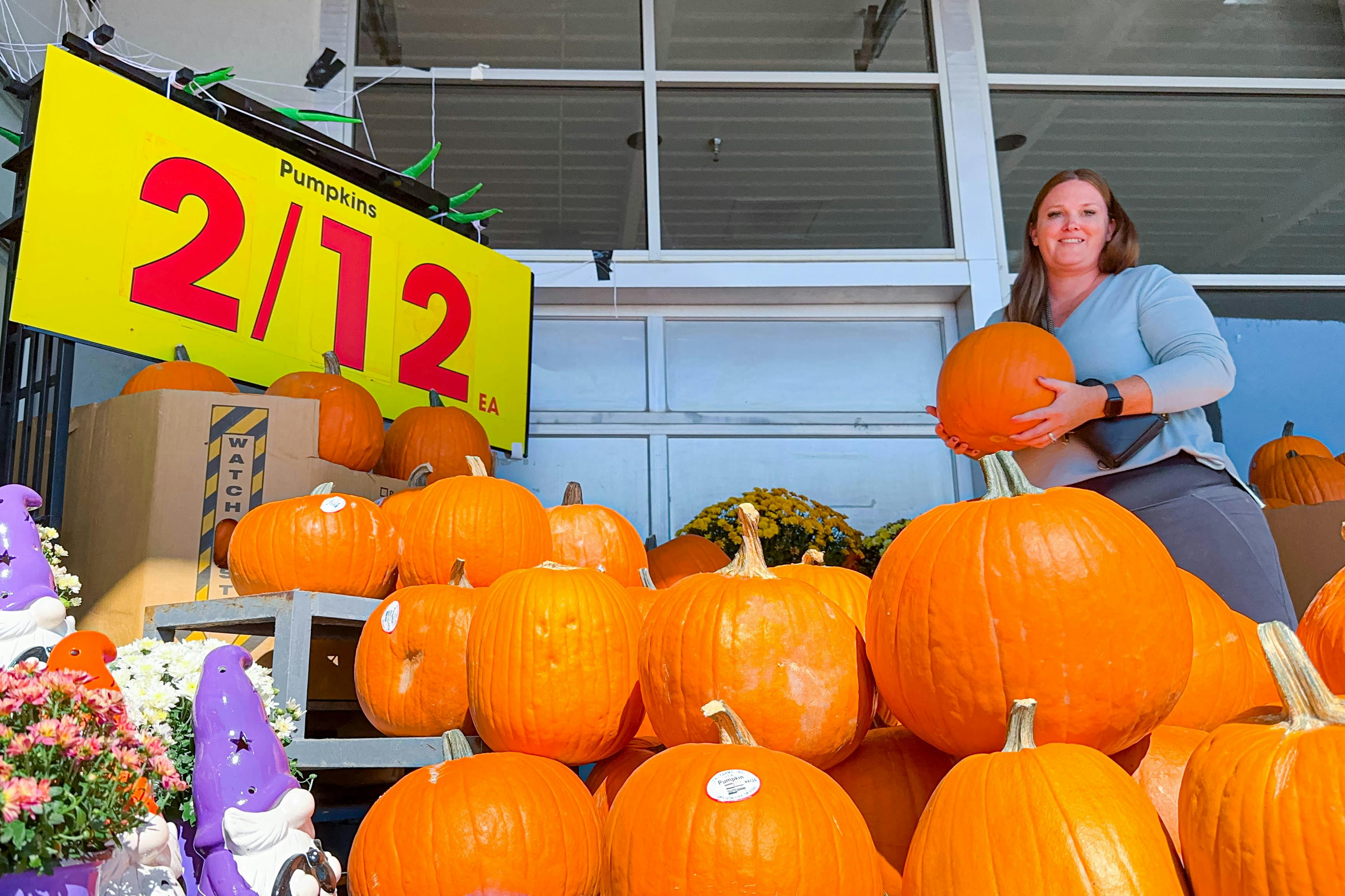 Pumpkin Price Comparisons 2024: Where to Find The Best Deals - The ...