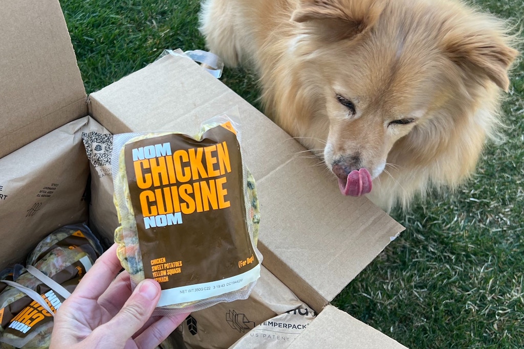 Treat Your Pup to Nom Nom Premium Dog Food — Now 60% Off With a Free ...