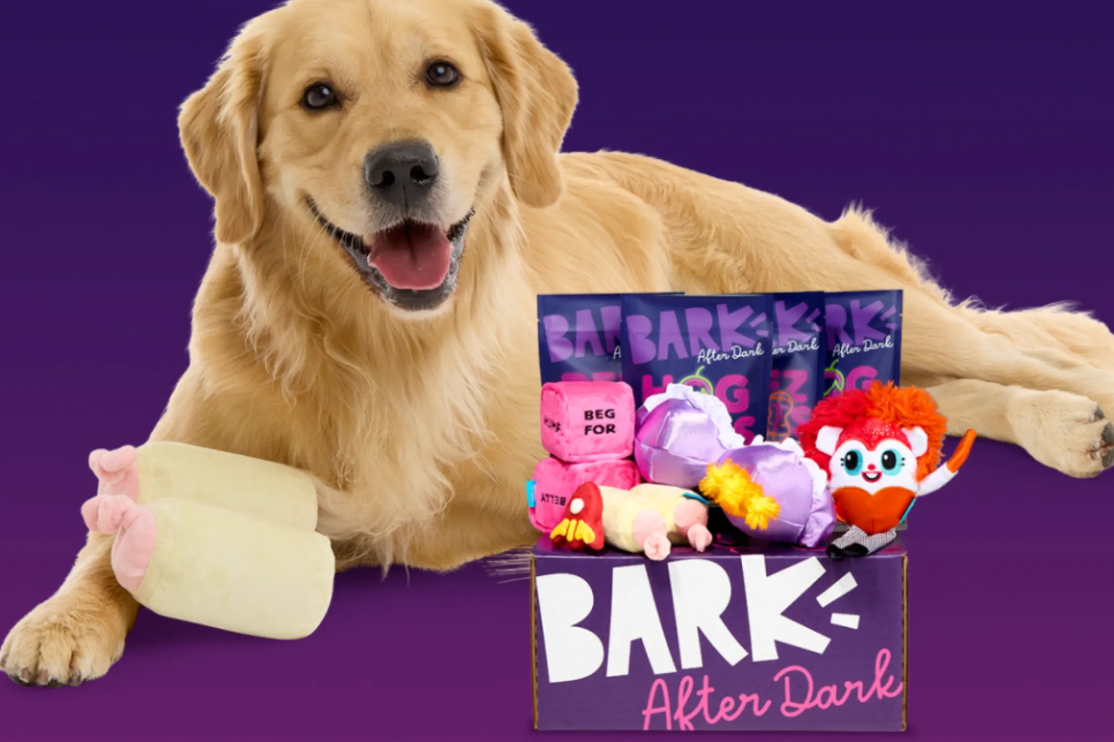 Get Two Extra Toys and Treats in Your First Bark After Dark Box From ...