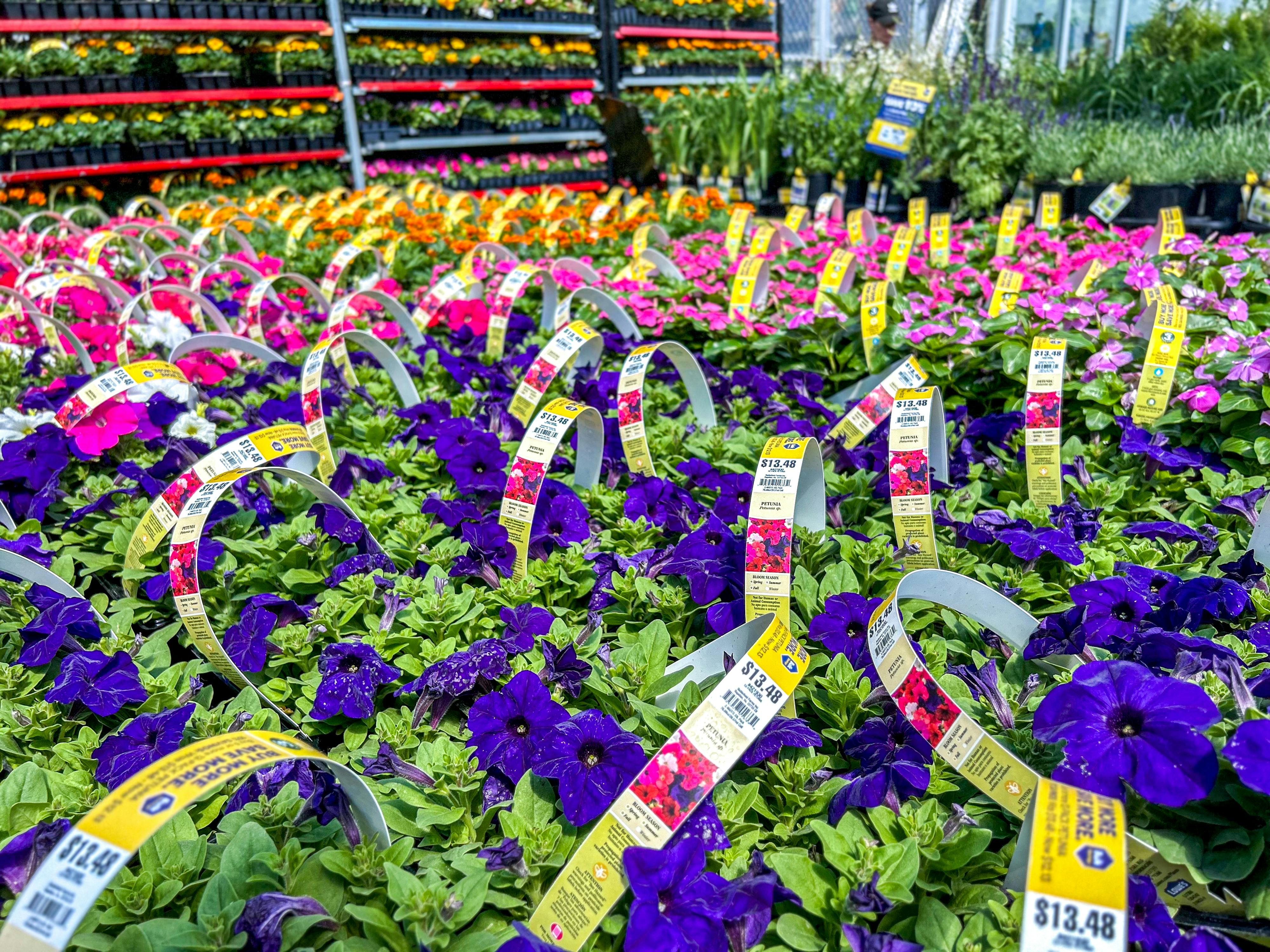 Lowe’s Spring Sale: What to Shop for in 2026 - The Krazy Coupon Lady