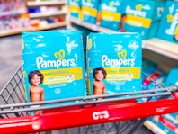 Here Are The Best Places to Get Free Trees in 2025 - The Krazy Coupon Lady