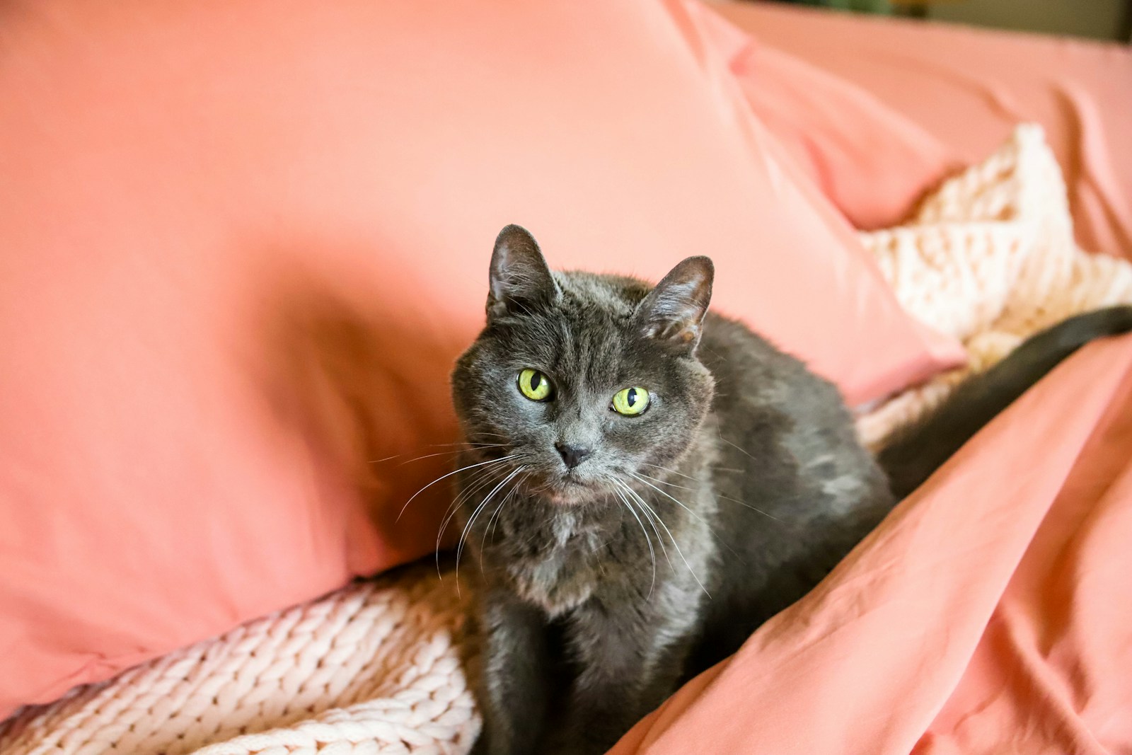 Linens & Hutch Bedding: My Experience and Current Promo Code - The ...