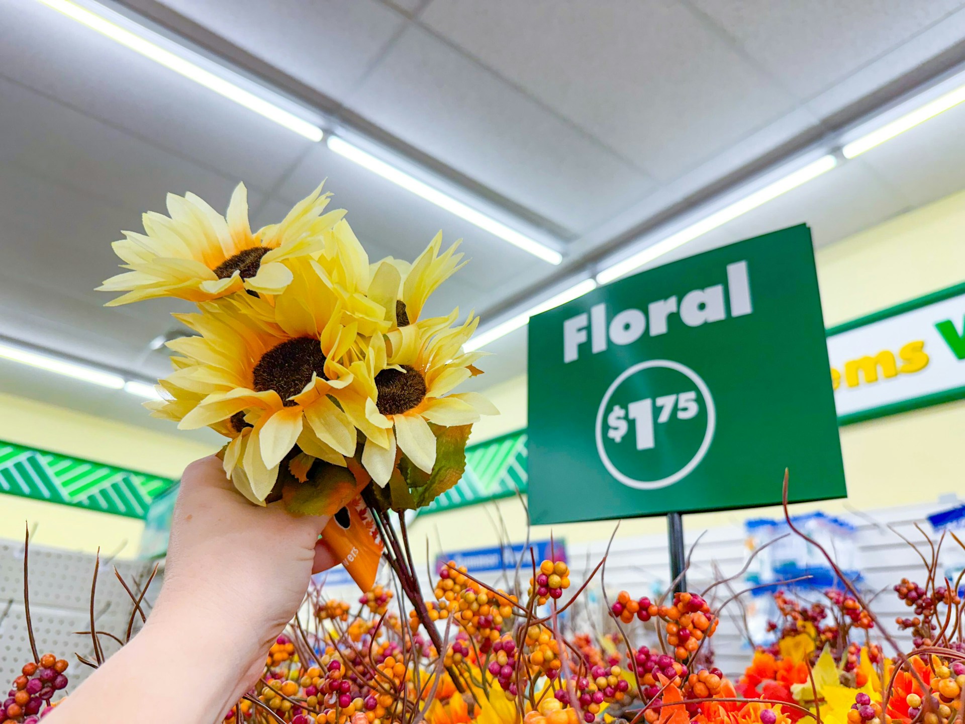 Dollar Tree Prices Are Rising: What Costs More in 2025 - The Krazy ...