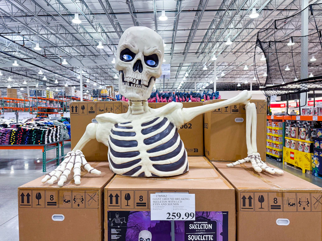 Where To Buy a Giant Skeleton Under $299 - The Krazy Coupon Lady