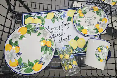 Dollar Tree Coupons and Deals for June 2024 | The Krazy Coupon Lady