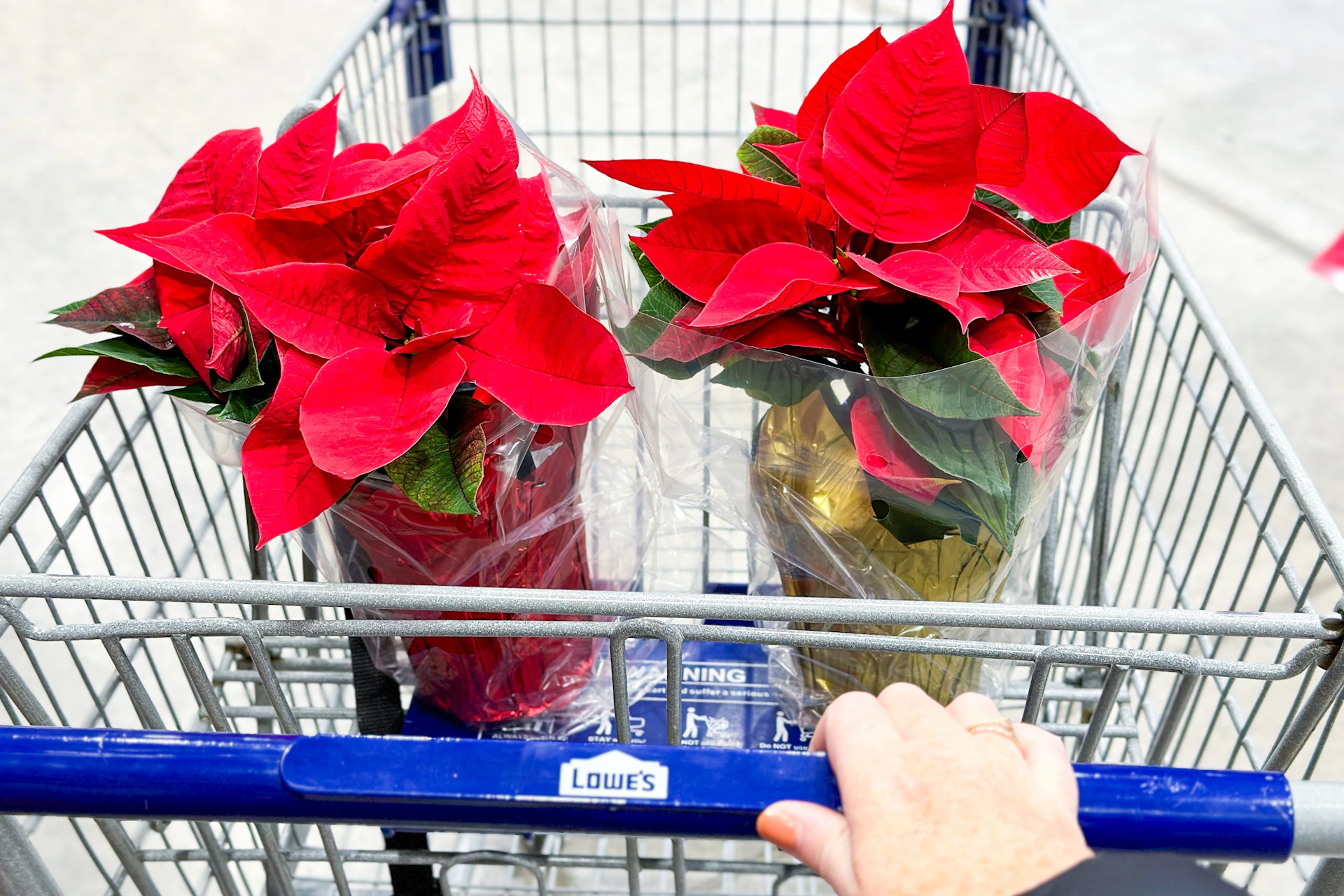 Lowe’s Black Friday 2026: Dates, Deals, and MyLowe’s Rewards Perks ...