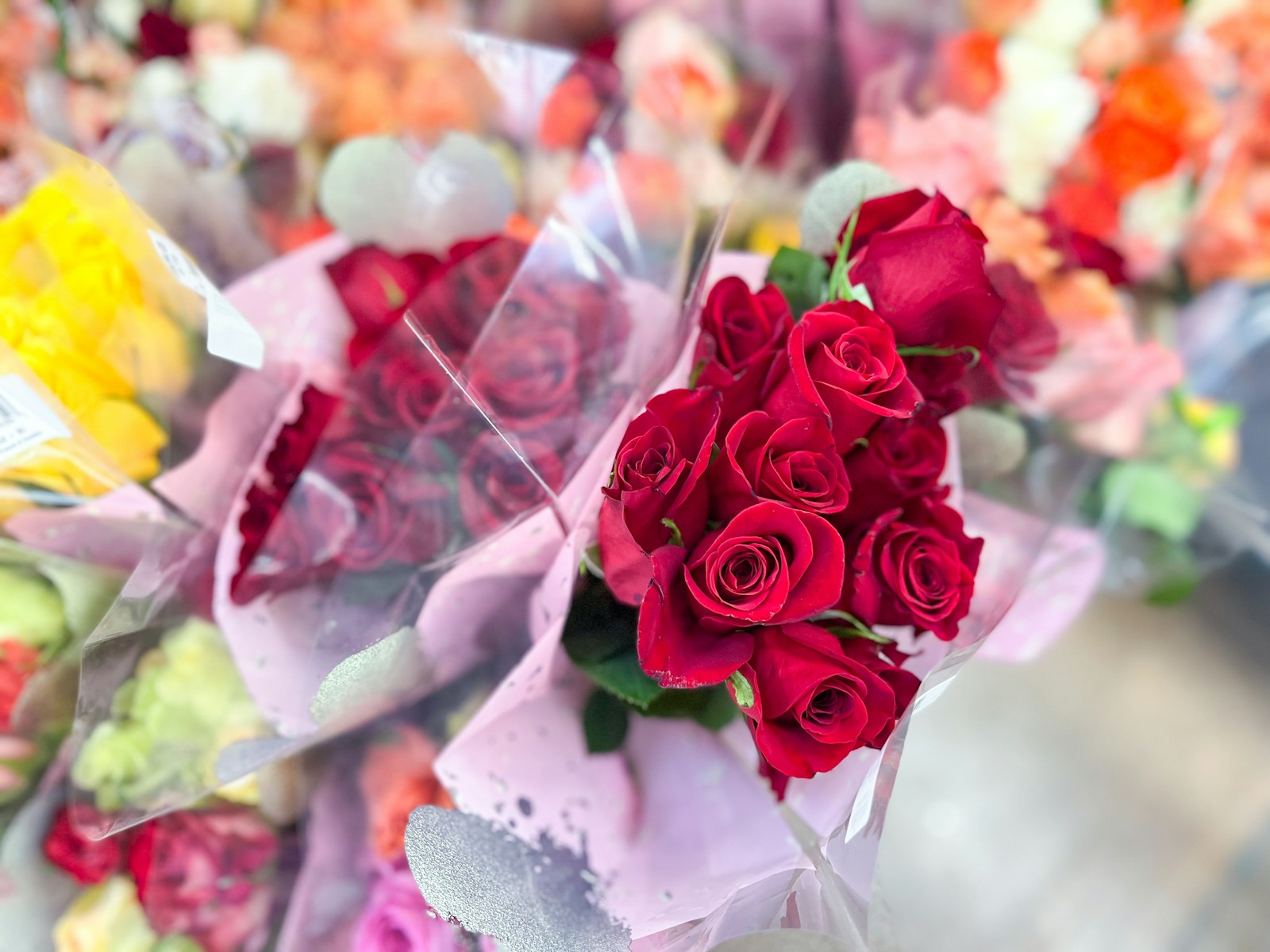 Where to Buy Cheap Valentine's Day Roses in 2025 — Krazy Coupon Lady ...