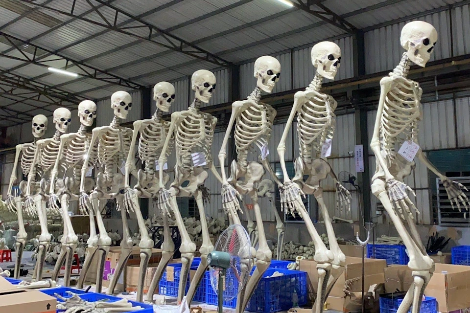 Where To Buy a Giant Skeleton Under $299 - The Krazy Coupon Lady