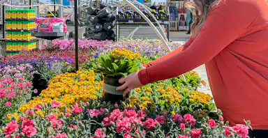 Lowe's SpringFest Sale: Deals, Dates & Strategies - The Krazy Coupon Lady