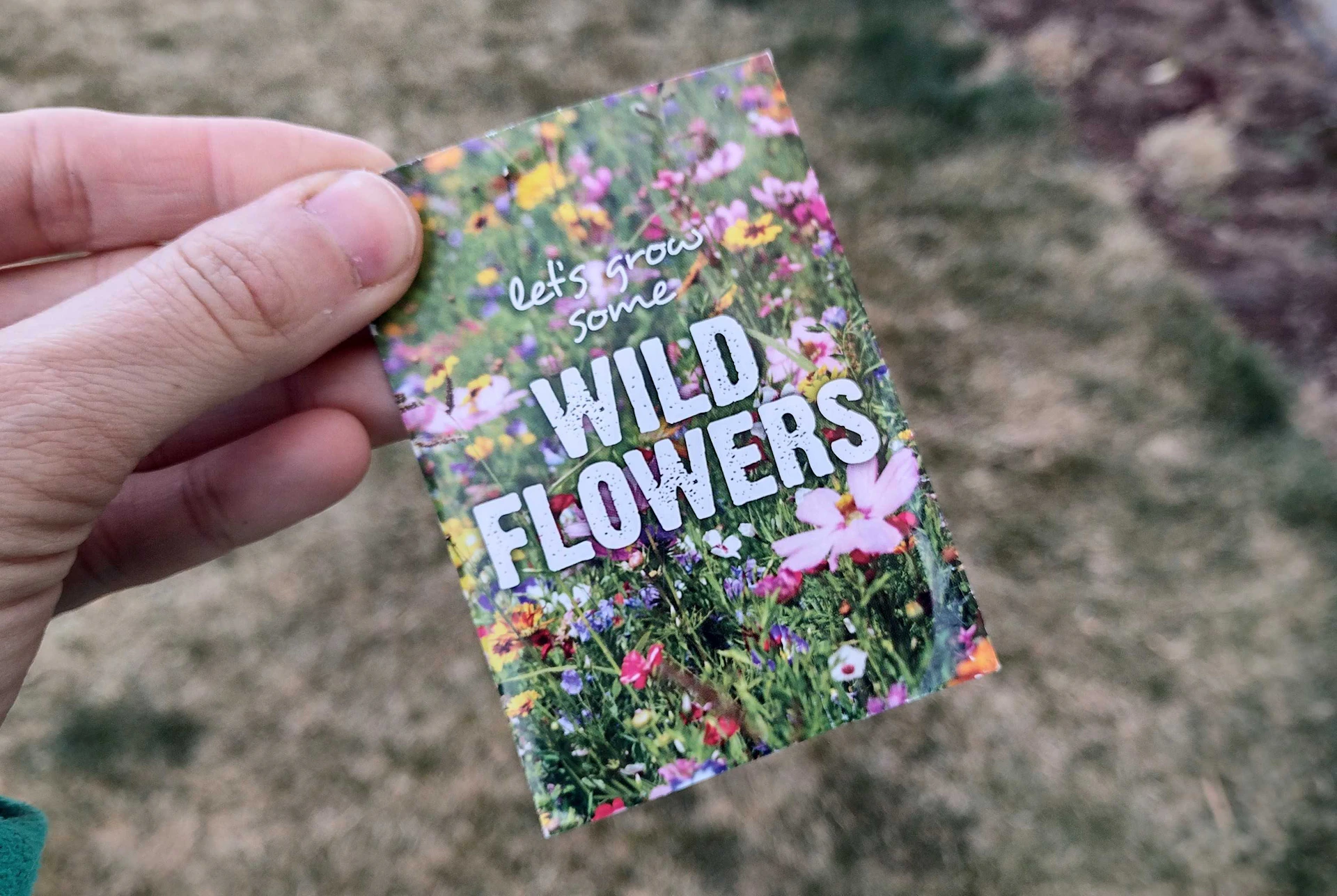 How to Get Free Seeds for Your Garden - The Krazy Coupon Lady