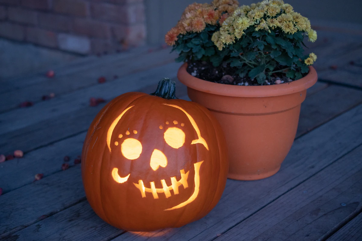 60+ Fun Fall Activities to Add to Your Autumn Agenda - The Krazy Coupon ...