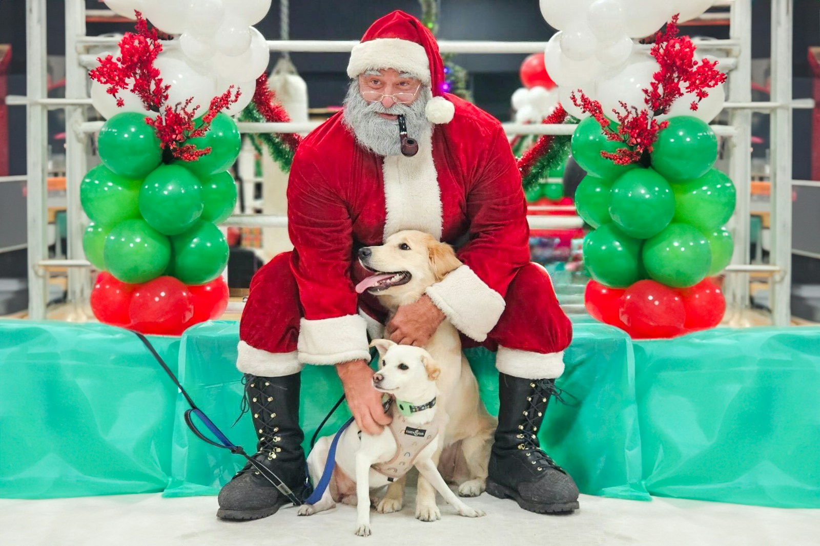 Pet Photos With Santa 2025: Where to Get FREE Pictures This Year - The ...