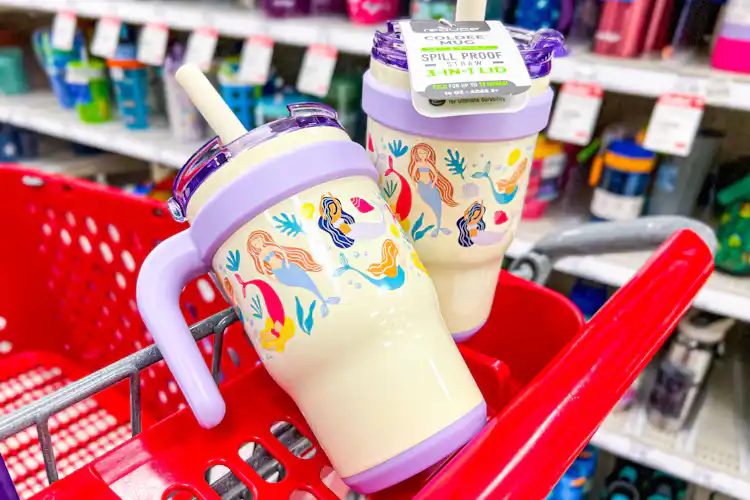 Stanley Cup for Kids: Save Up to 80% With These Options - The Krazy ...