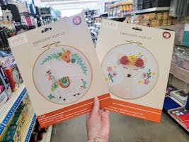 Dollar Tree Coupons - The Krazy Coupon Lady - June 2023