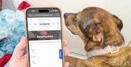 6 Tips For Finding A PetSmart Grooming Coupon Plus November Offers 6 Tips For Finding A PetSmart Grooming Coupon Plus November Offers