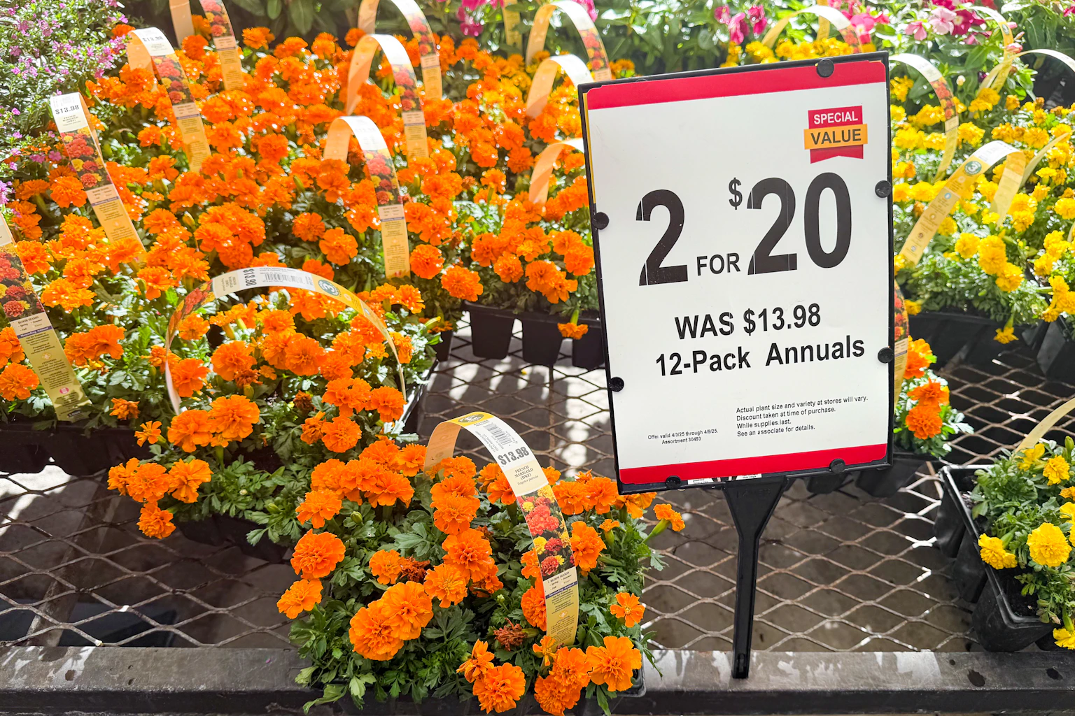 Lowe’s SpringFest Sale: Best Deals & How To Save - The Krazy Coupon Lady