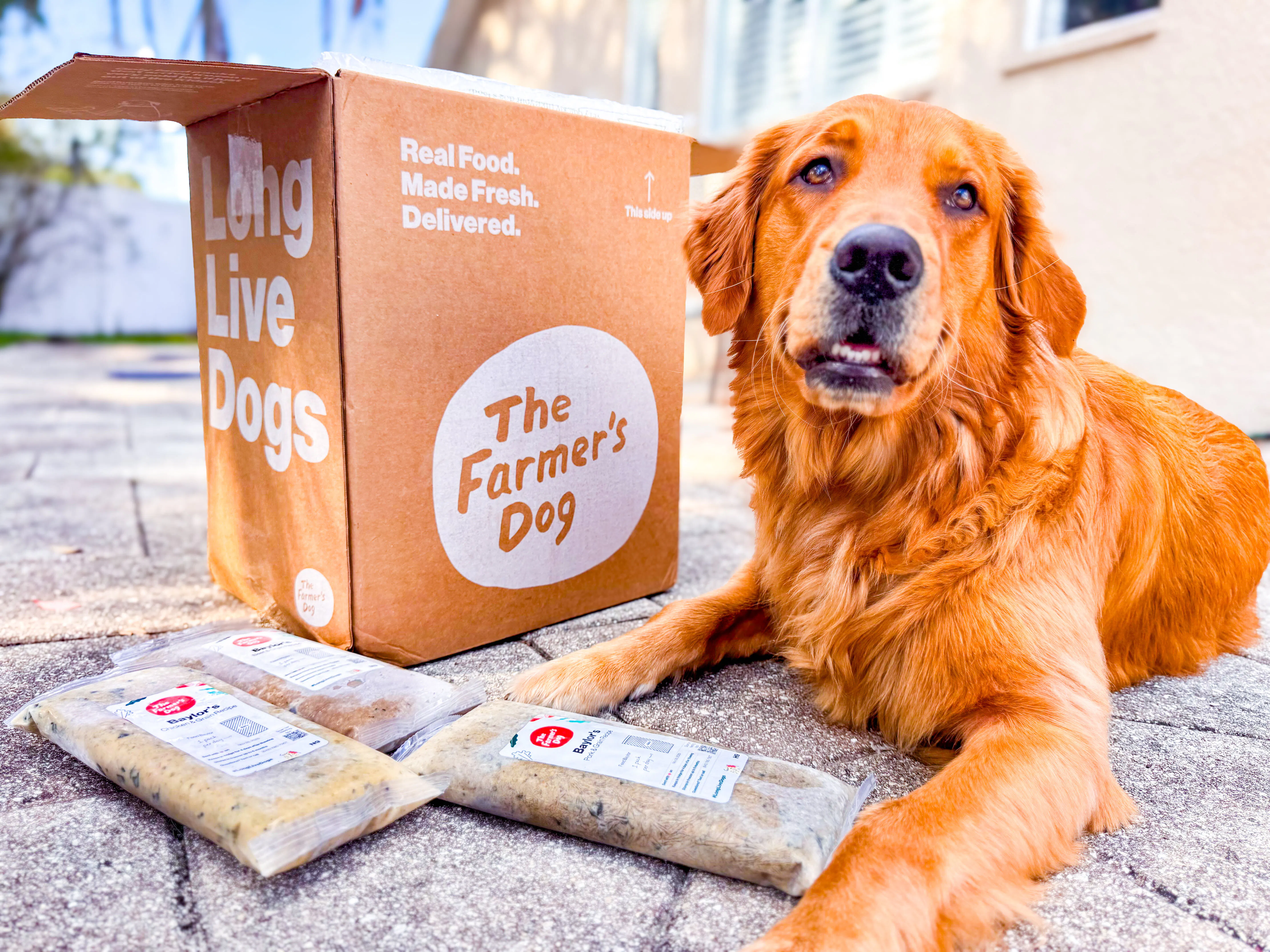 Cyber Monday Deal: 50% Off Your First Box of Dog Food From The Farmer’s ...