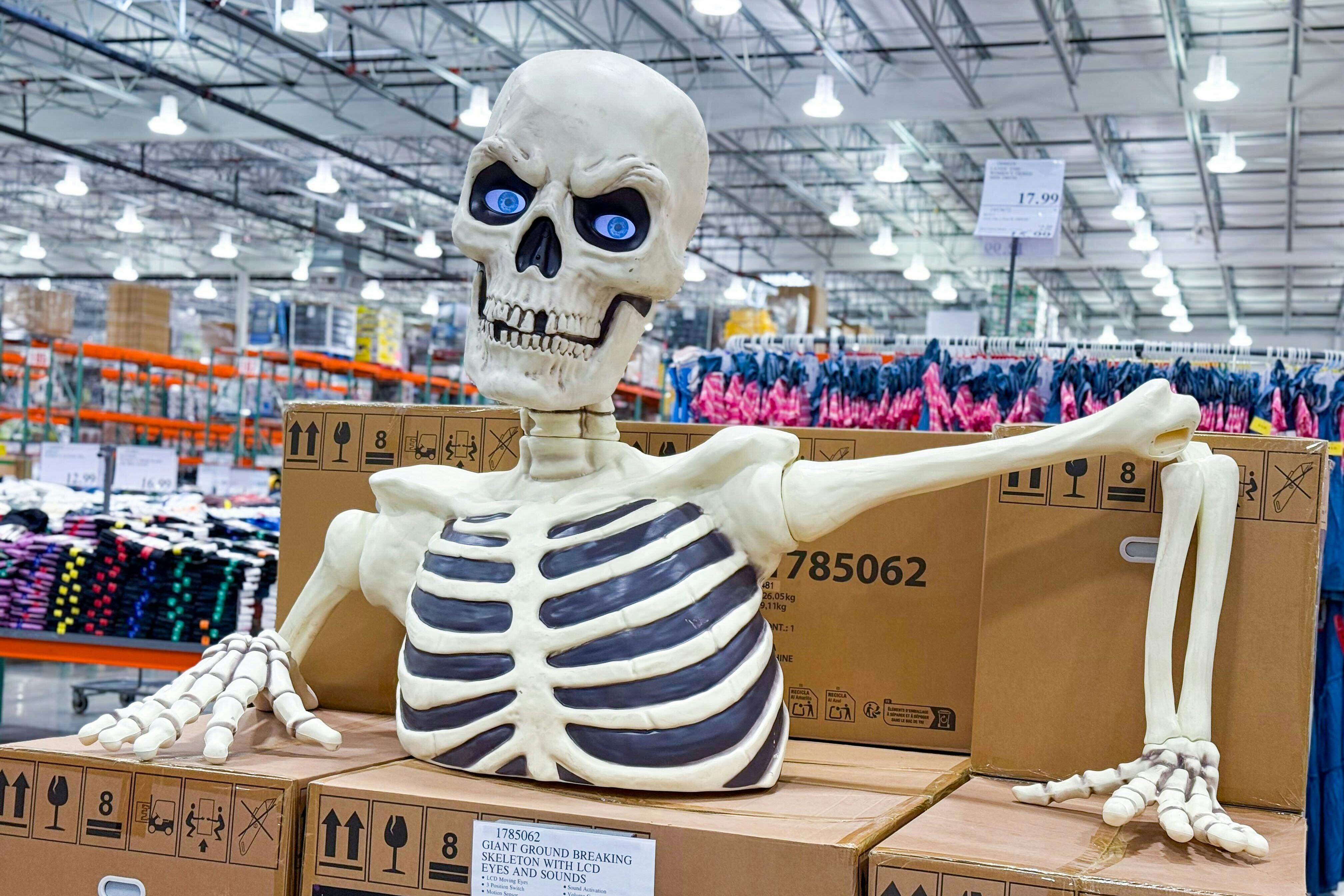 Costco's Giant Halloween Skeleton IS BACK - The Krazy Coupon Lady