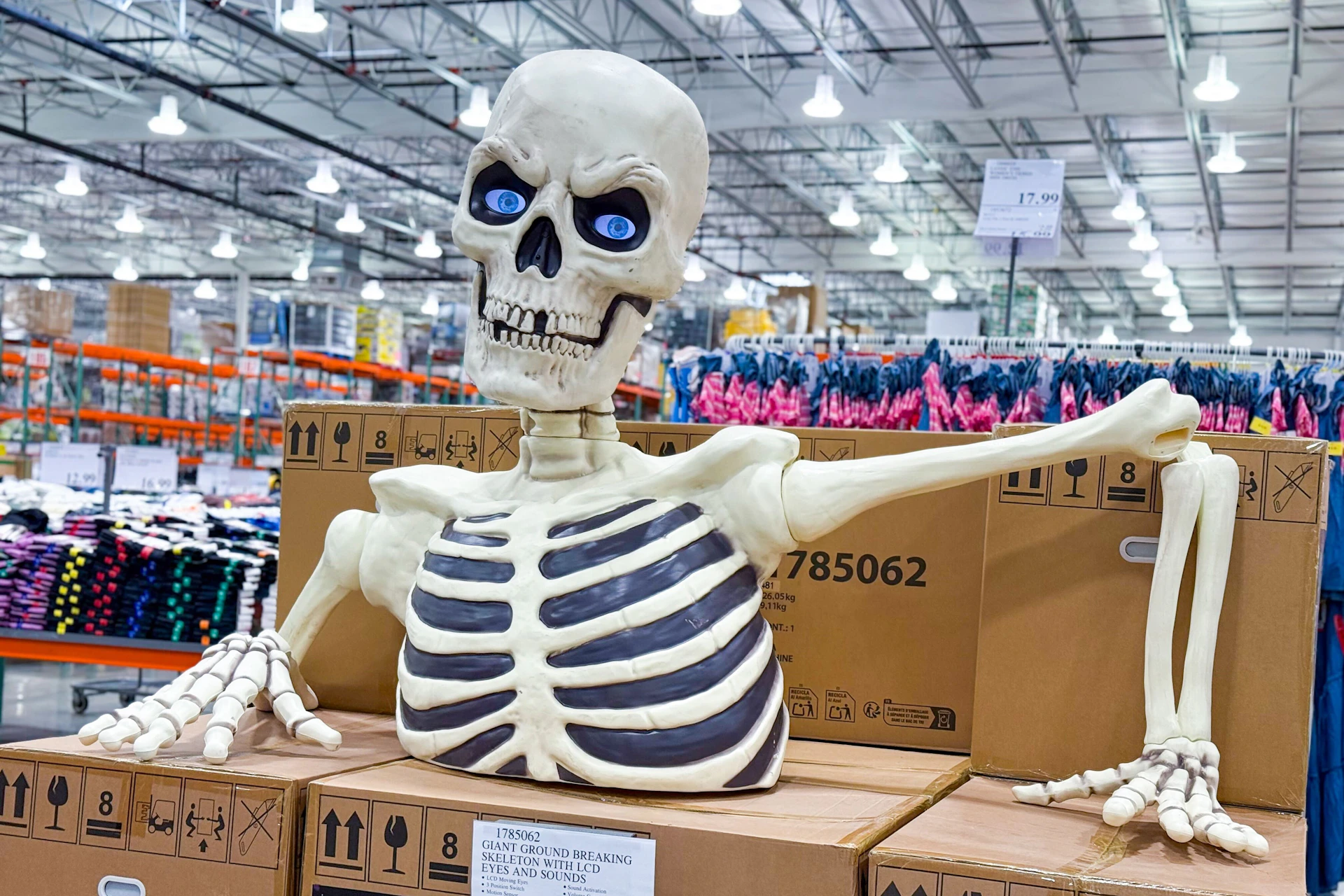 Costco’s $260 Giant Ground Breaking Skeleton Is Back - The Krazy Coupon ...