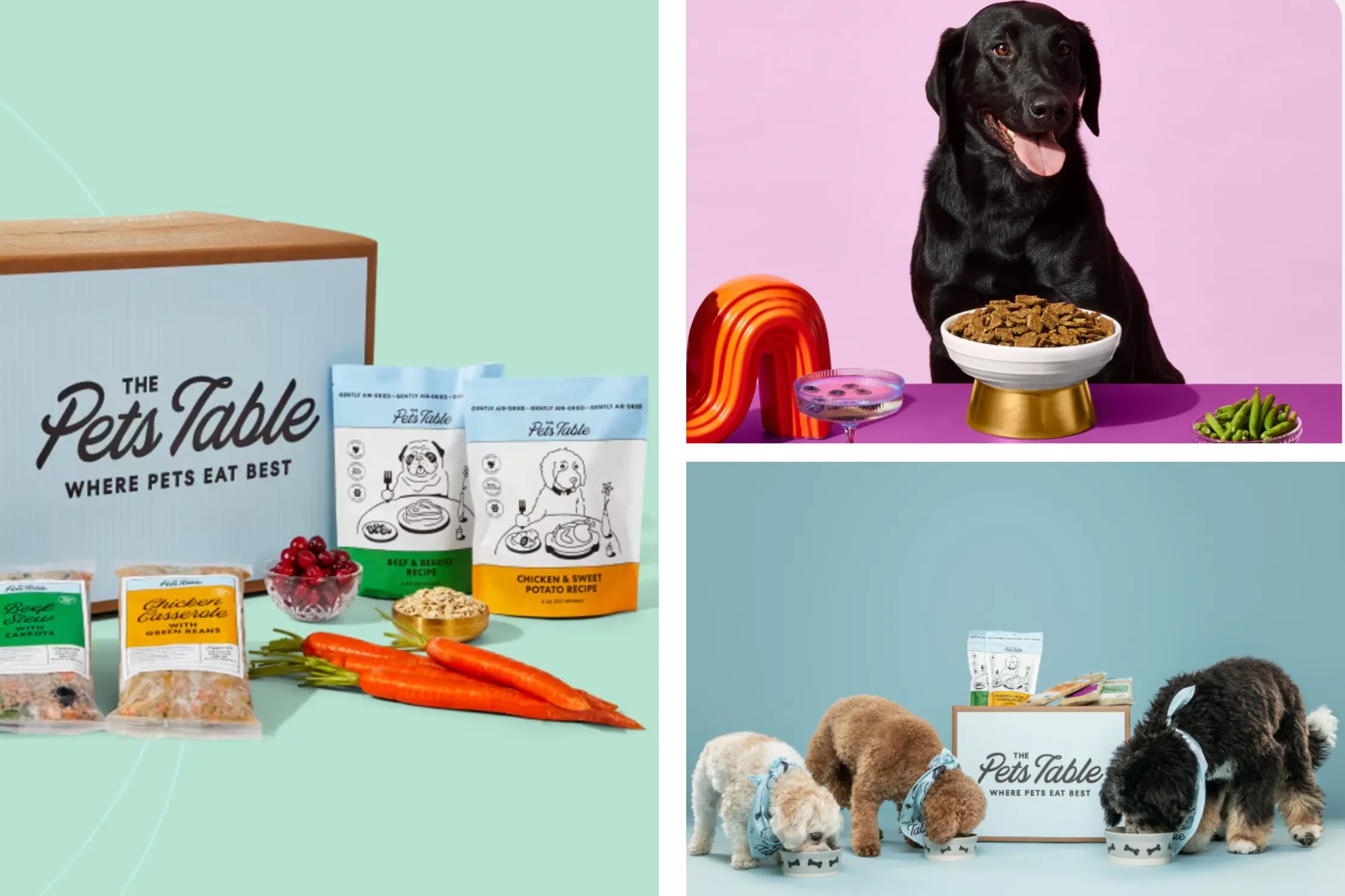 Get 50% Off Your First Box of Custom Dog Food From The Pets Table - The ...