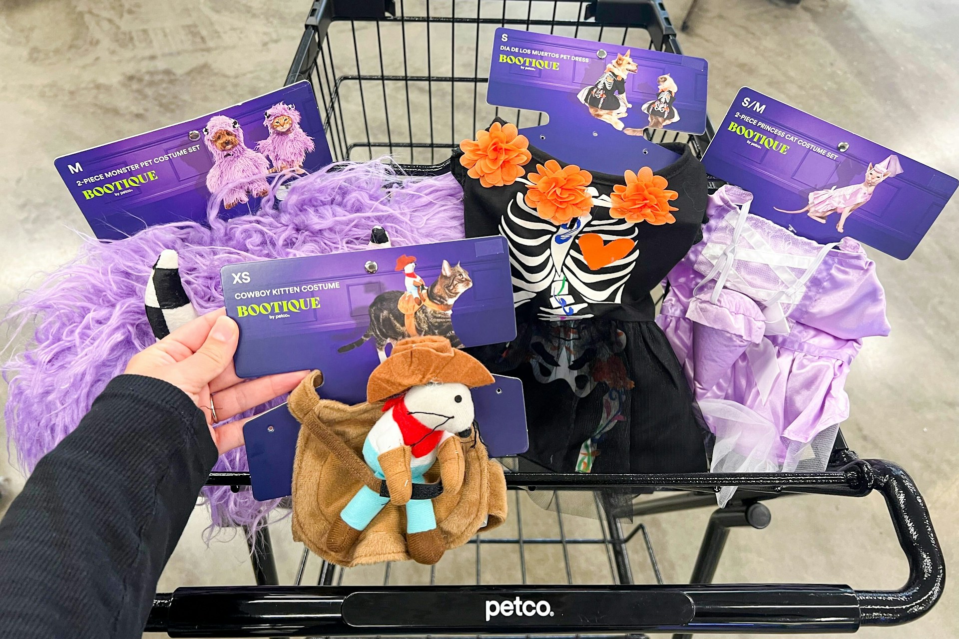 12 Months of Peacock TV Streaming for Just $29.99 (Reg. $79.99) - The ...