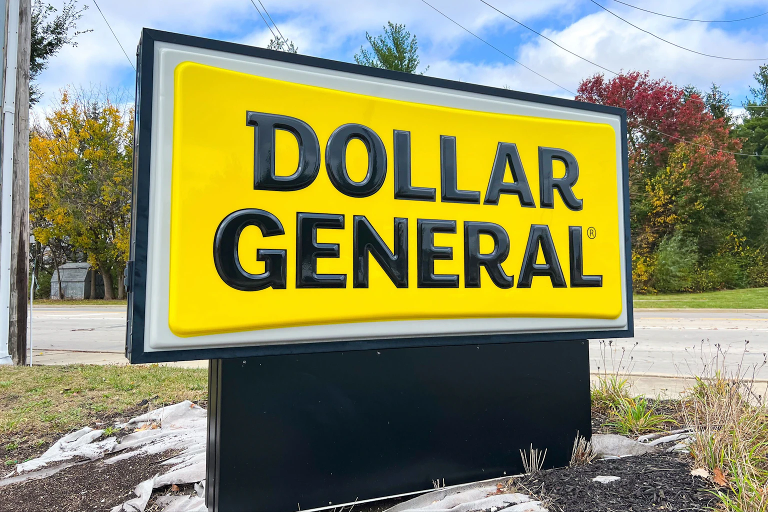 Dollar General Delivery: Fees, Coupons & How It Works - The Krazy ...