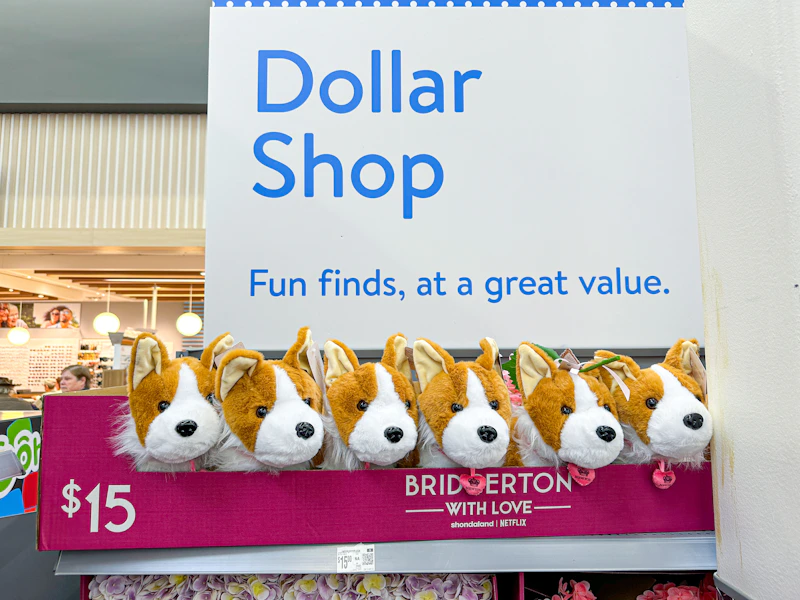 Walmart Dollar Spot Section: Where to Shop and Top Finds - The Krazy ...